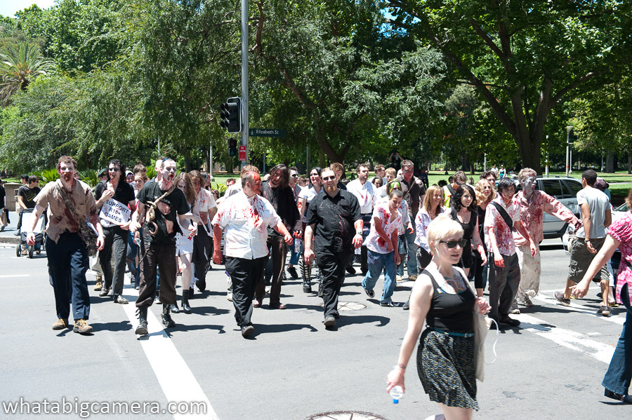 Sydney Zombie Lurch - Grow up Australia | Grow up Australia